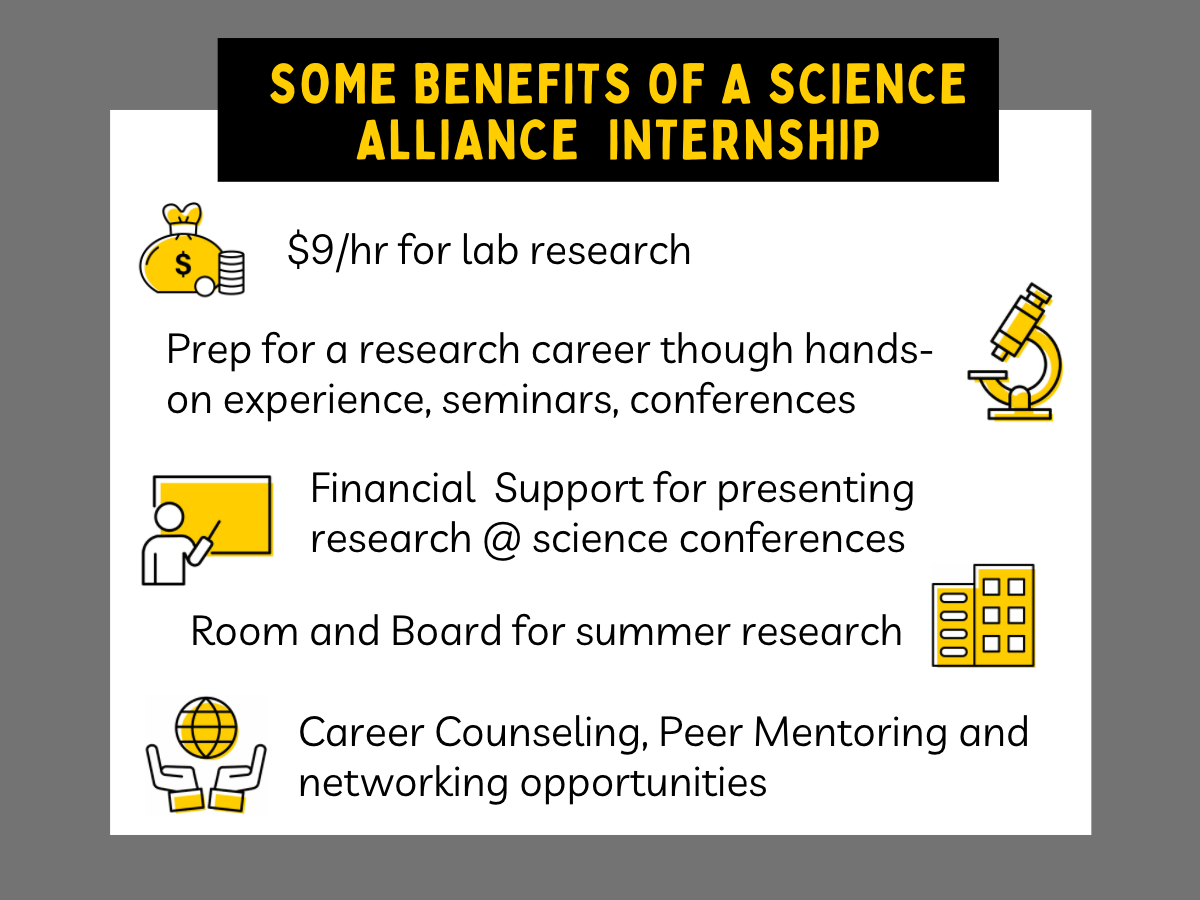 Qualifications to apply