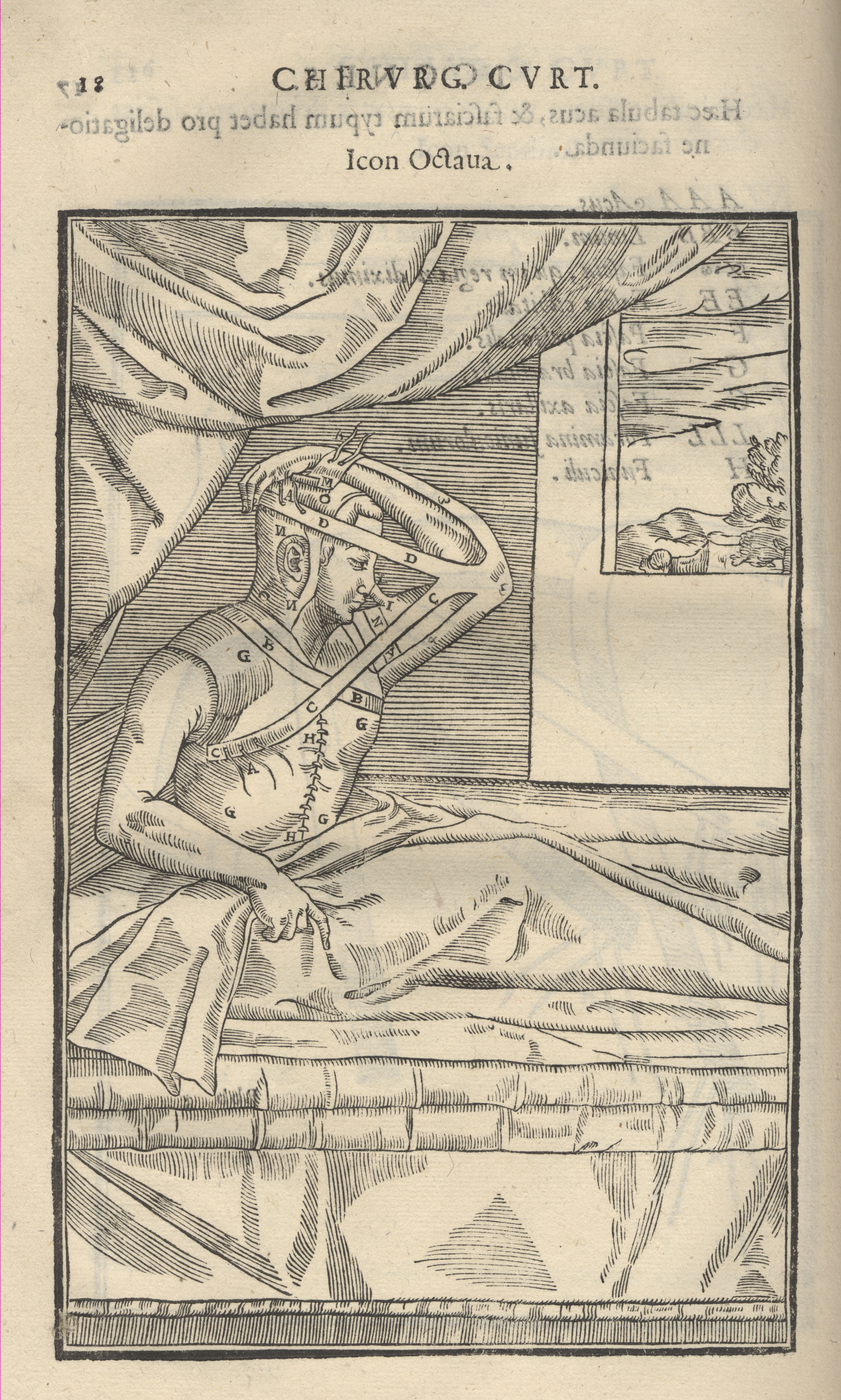 Friends of the John Martin Rare Book Room