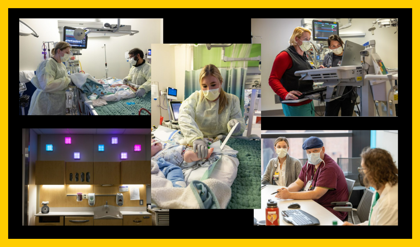Peds Express: News from and for the University of Iowa Stead Family ...